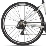 Is Liv Alight 3 Worth Buying? -[Liv Alight 3 Review]