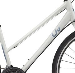 Is Liv Alight 3 Worth Buying? -[Liv Alight 3 Review]