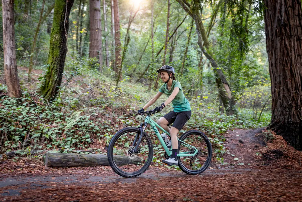 Is Liv Tempt 2 the Perfect Choice? - [Liv Tempt 2 Review]