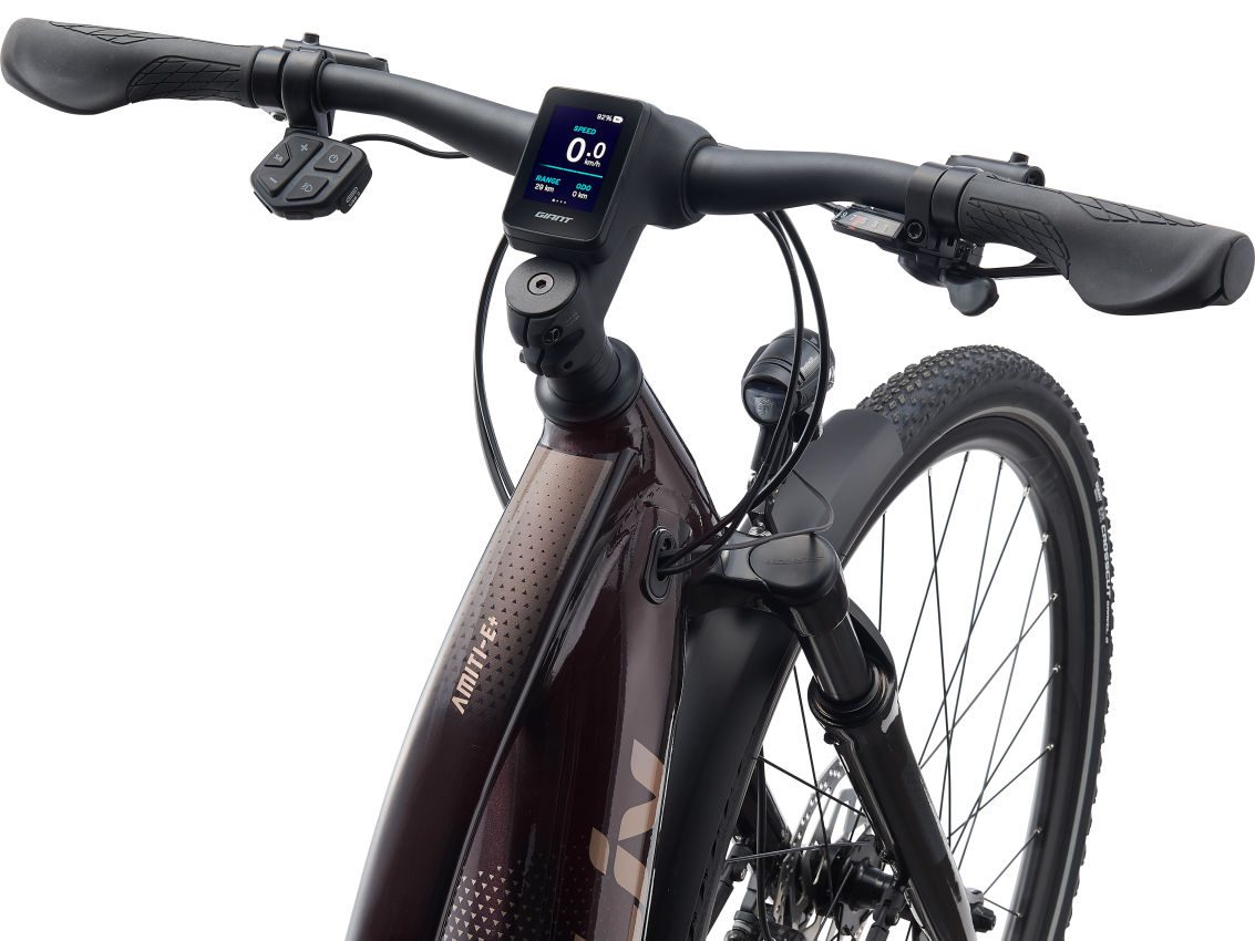 Is Liv Amiti E+ 2 Worth Buying? - [Liv Amiti E+ 2 Review]