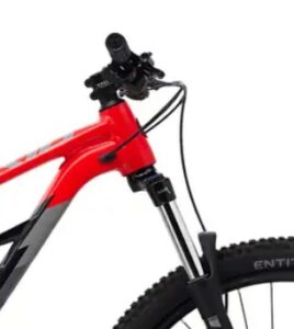 Is Polygon SISKIU D5 Splendid - [Polygon SISKIU D5 Review]